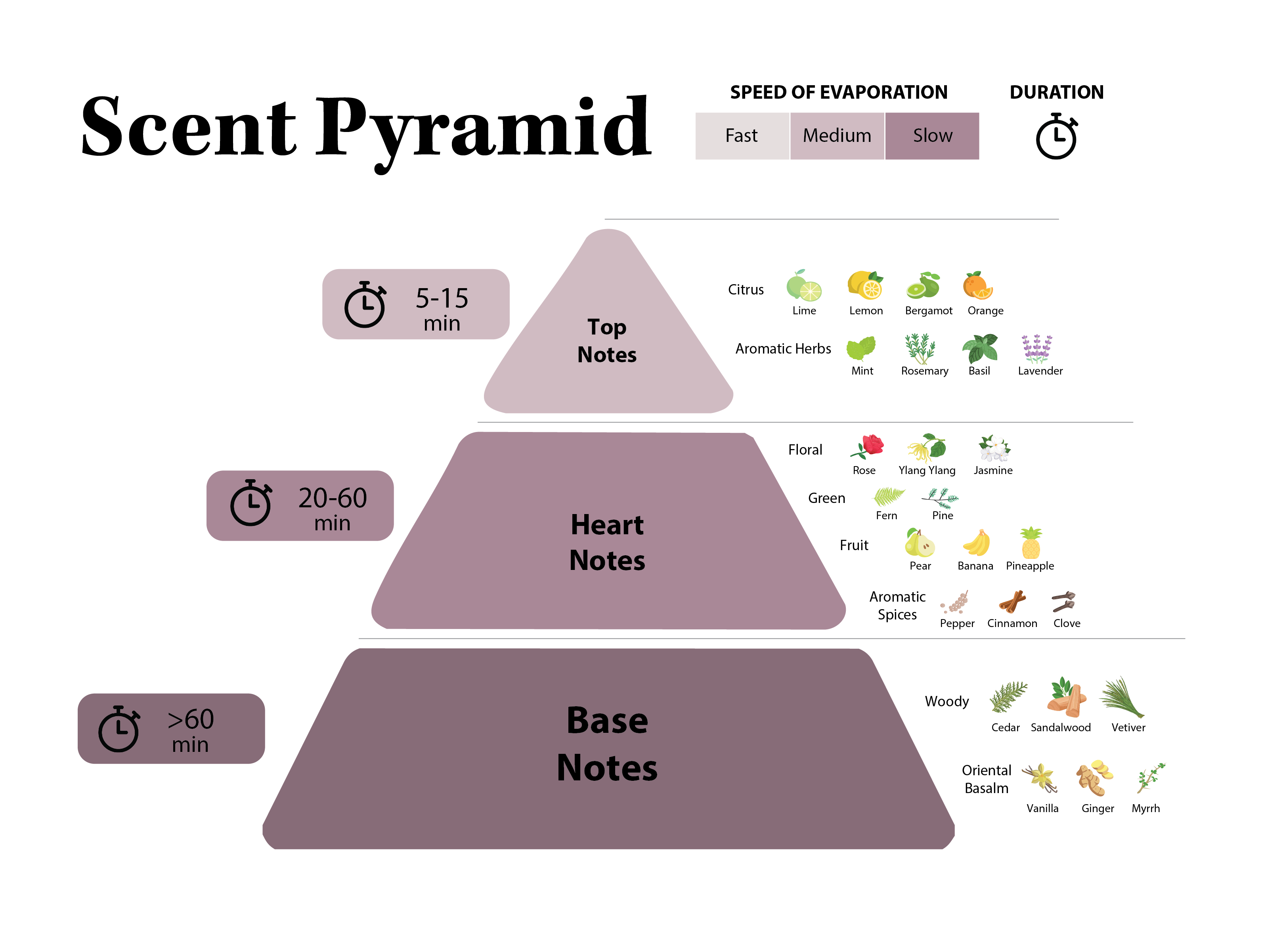 Top, Heart, Base - What Does It All Mean?! – Waaks Candles